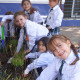 Lomas High School – Colegio Superior de Lomas